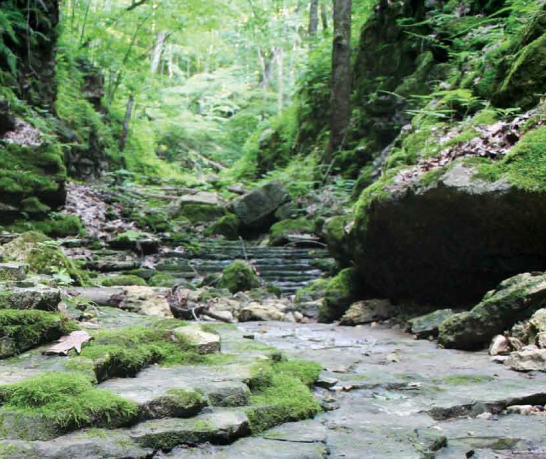 Delaware County Discovery Area - Driftless Karst Trail